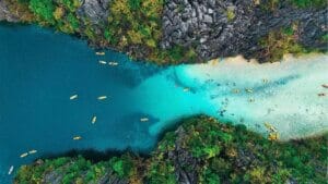 Moalboal Sardine Run | Avoid These Common Mistakes In 2024